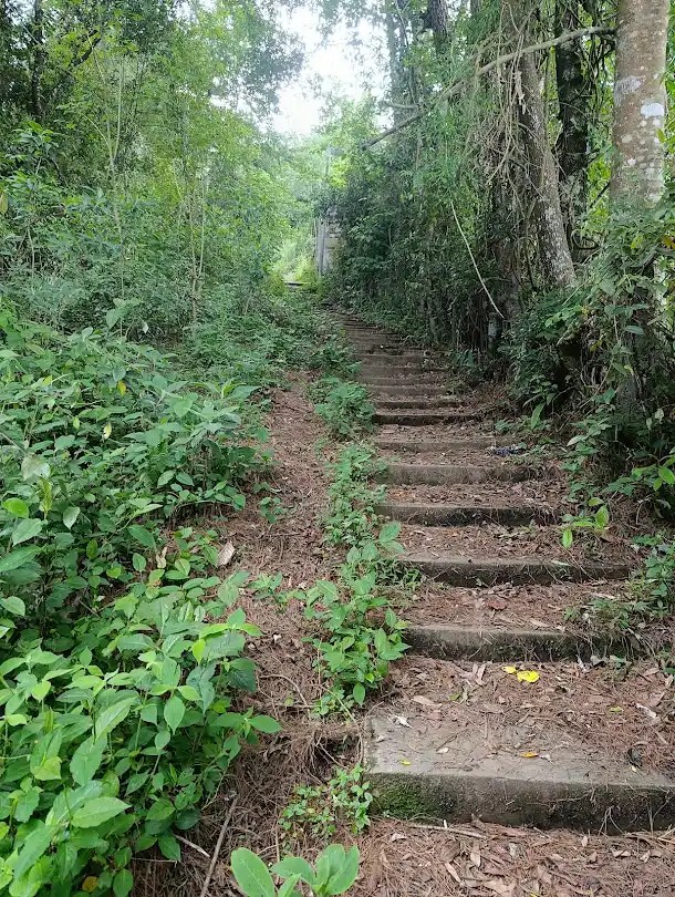 The Olympic Stair Climb – Ni Dieu Ni Maitre